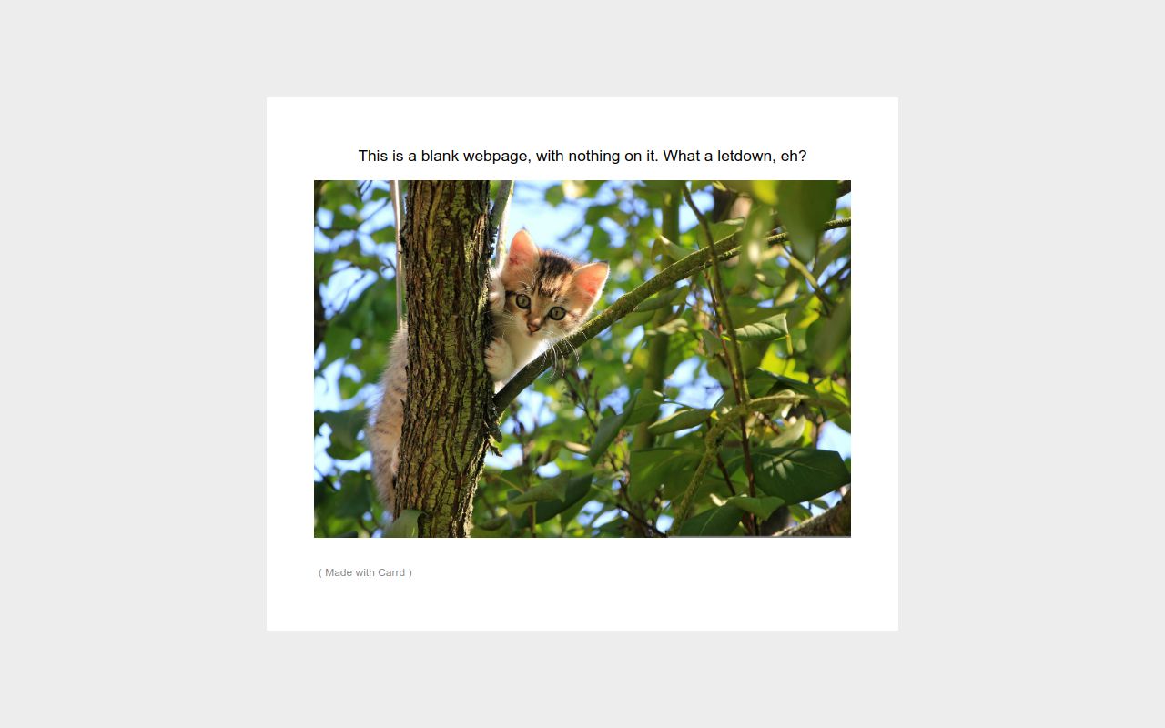 Talons of Peace Callout